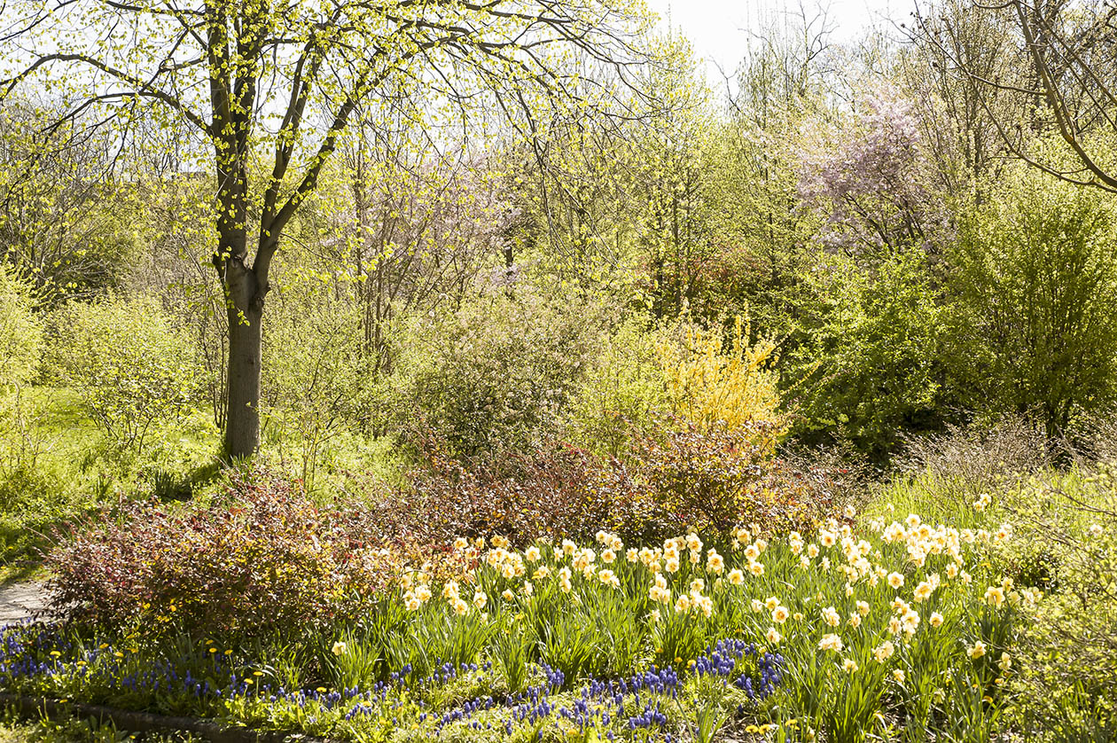 Côté nature | Ville de Bron